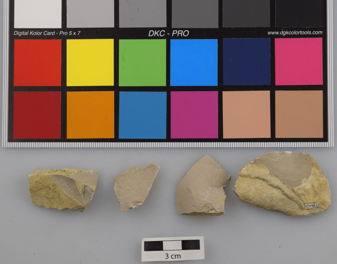 Siliceous Mudstone - Nebraska State Historical Society