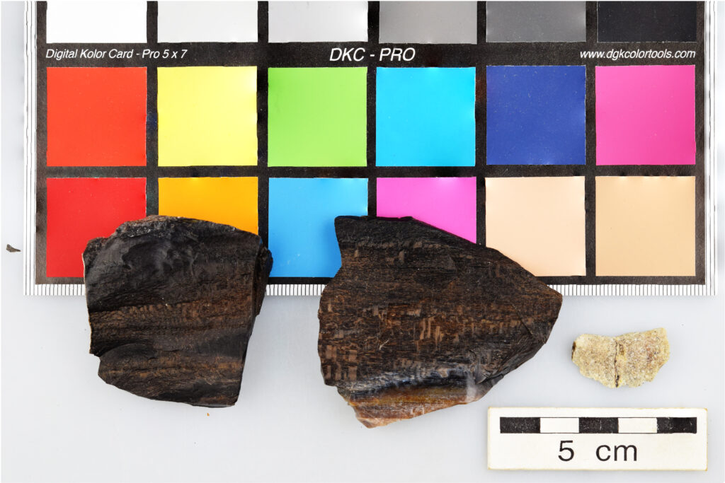 Silicified Wood - Nebraska State Historical Society