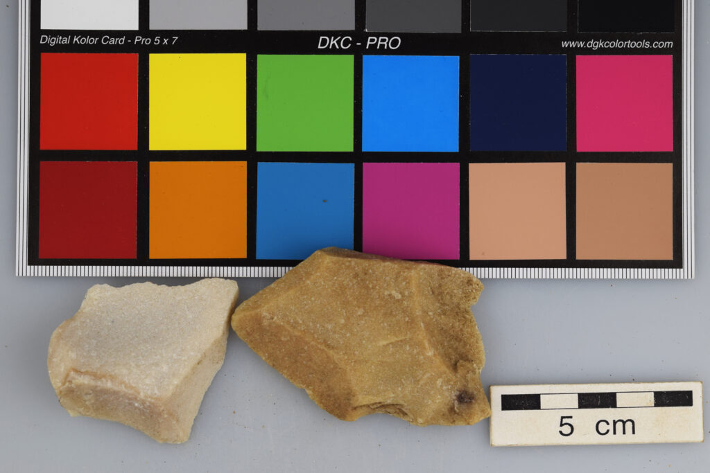 Hixton Silicified Sandstone - Nebraska State Historical Society