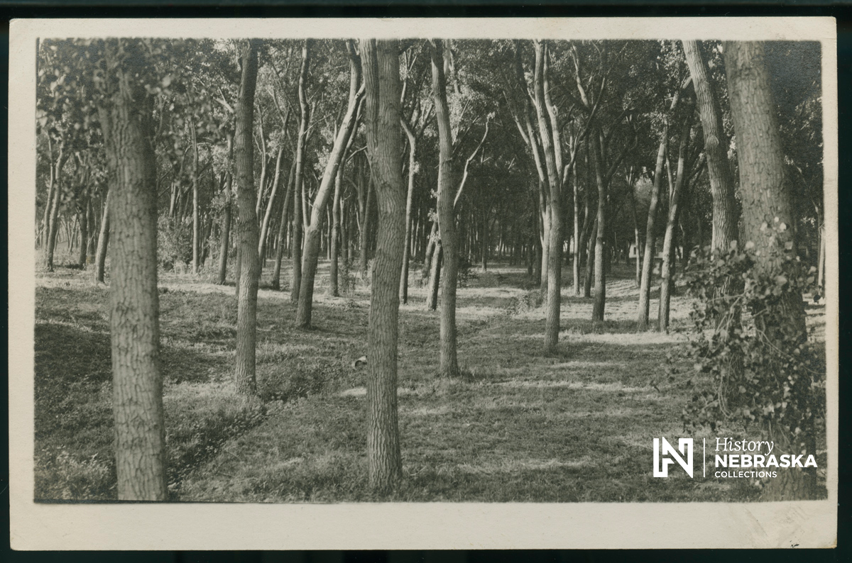 Flashback Friday: Timber Culture Act of 1873 - Nebraska State ...